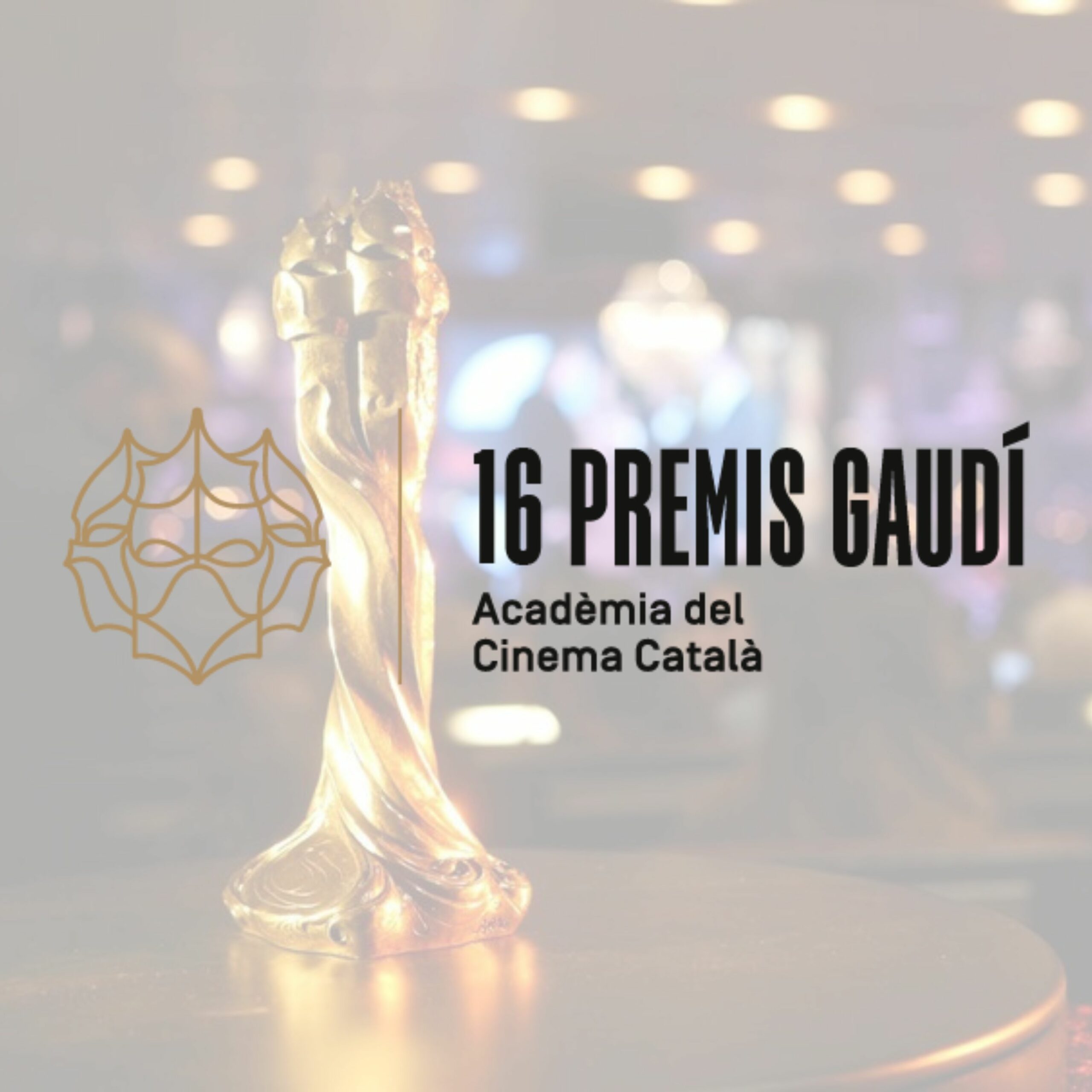 XVI GAUDÍ AWARDS - Focus